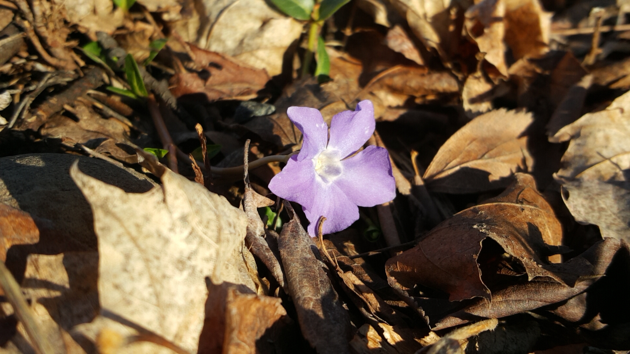 First Day of Spring, 2022 – NW Angler